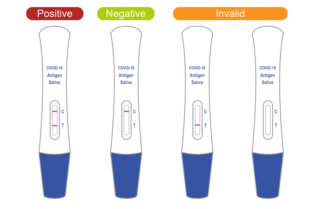 Sars Cov 2 Nucleocapsid Nantigen Rapid Detection Kit Colloidal Gold Method —lollipop Style 