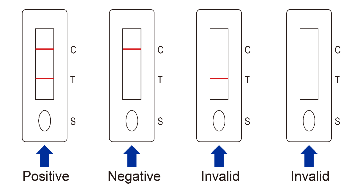 Sars Cov 2 Nucleocapsid N Antigen Rapid Detection Kitcolloidal Gold Method Buy Sars Cov 2 